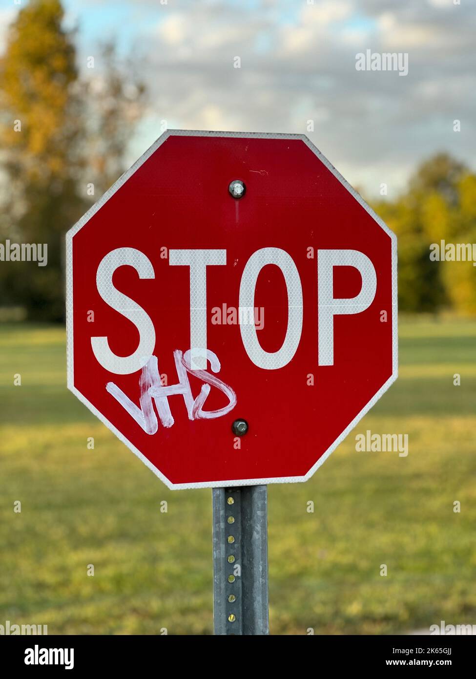 A vertical closeup of a "stop" sign on the street against green trees ...