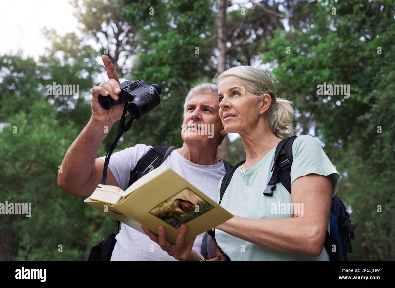 Senior caucasian couple using binoculars and a book while doing bird ...