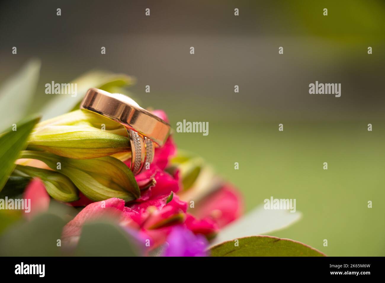 wedding gold rings of the bride and groom lie on the background of a ...