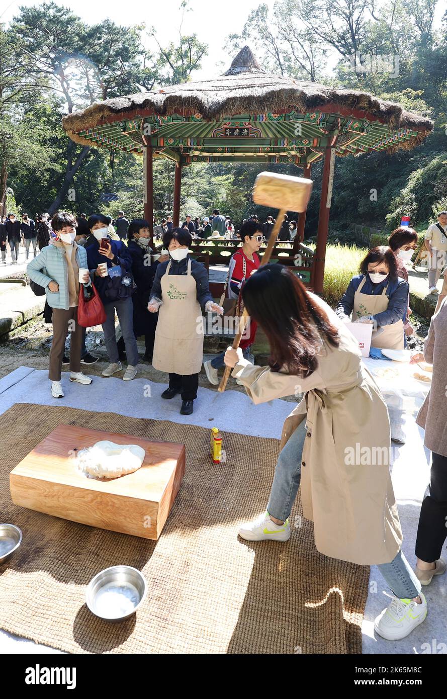 12th Oct, 2022. Rice harvesting at royal palace A visitor hammers rice ...