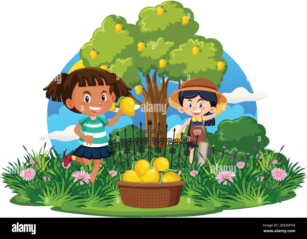 Girls picking mangoes from the tree illustration Stock Vector Image ...
