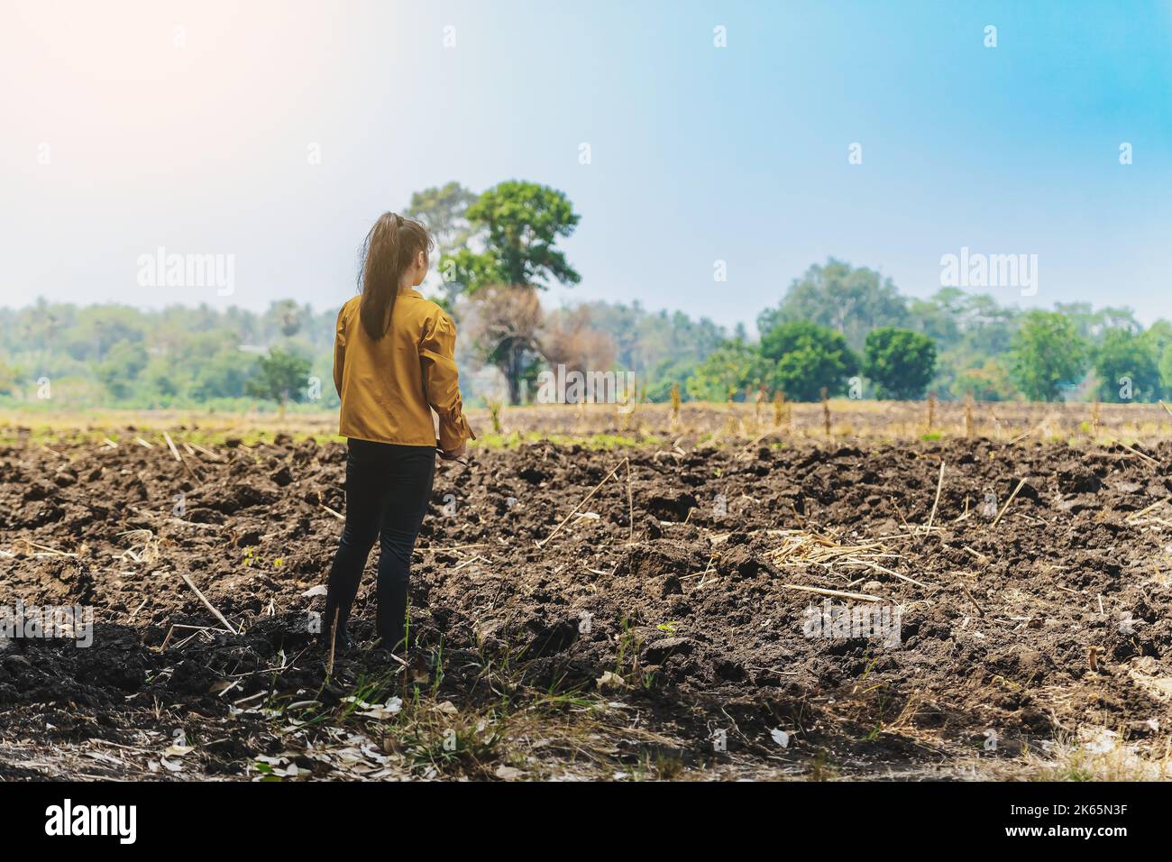 Back view of Asian young woman farmer stand alone to look soil quality ...