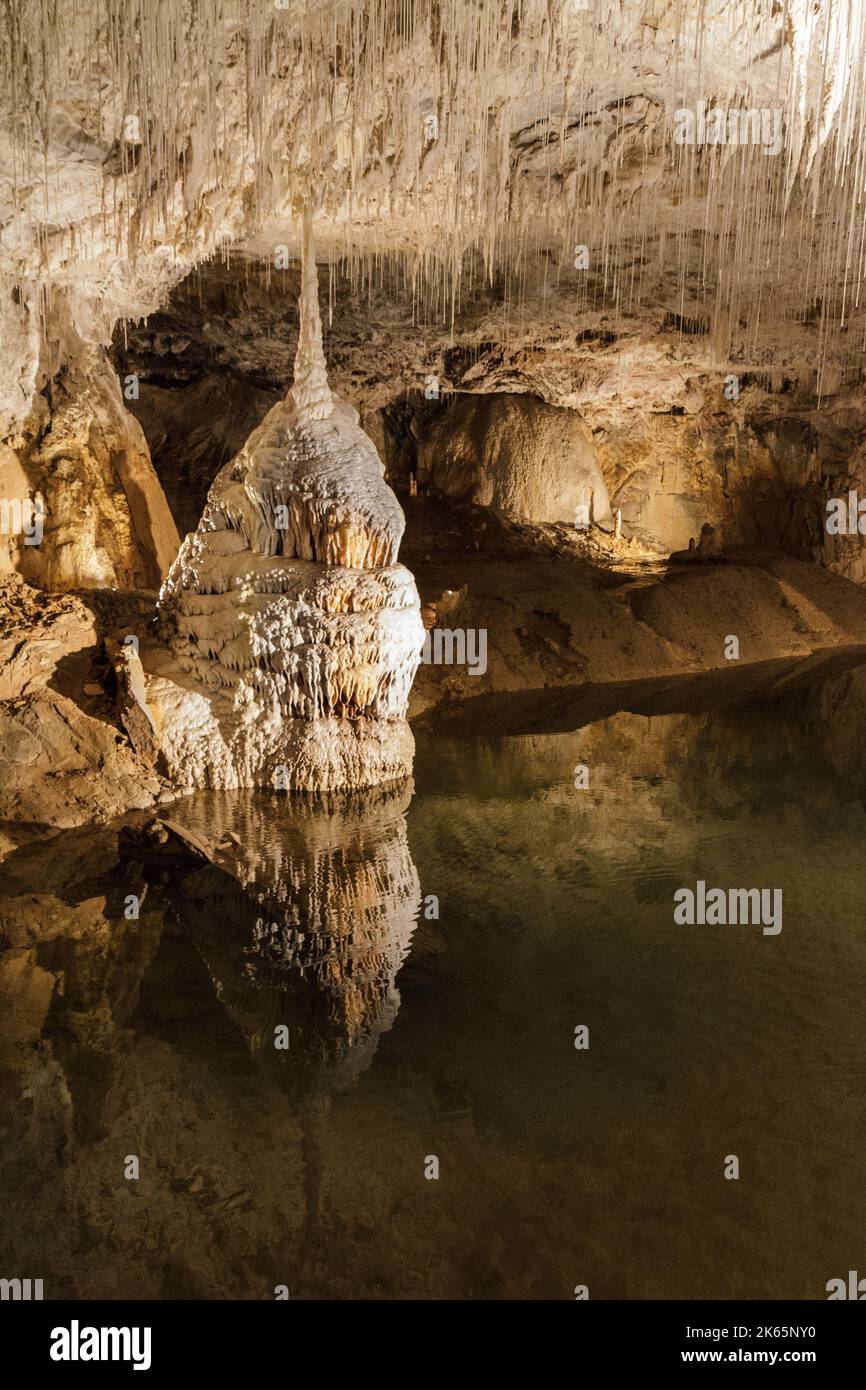 A vertical shot of the inside of a cave with stalagmites and ...