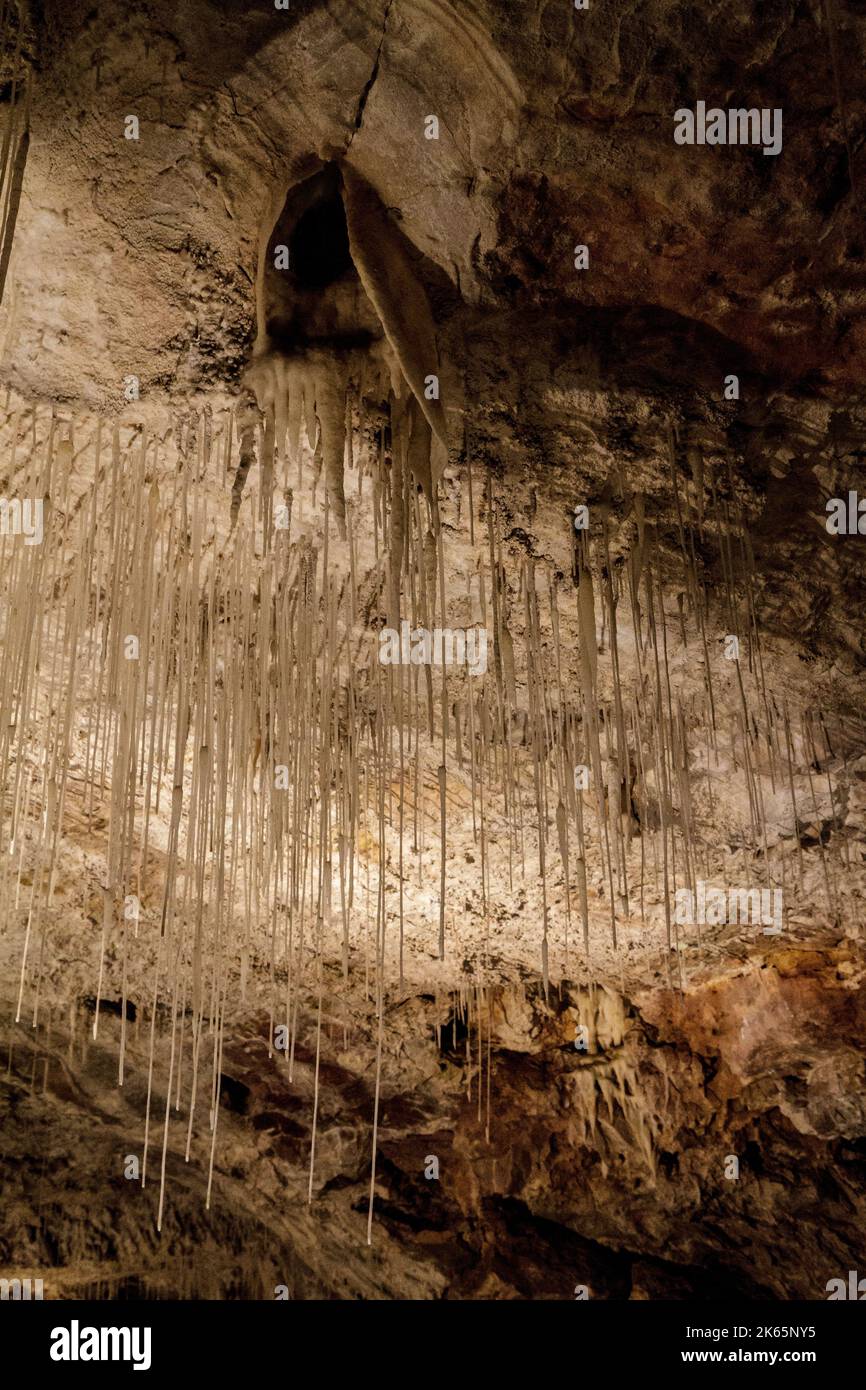 A vertical shot of the inside of a cave with stalactites hanging from ...
