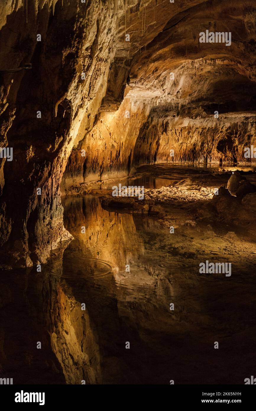 A vertical shot of the inside of a cave with stalagmites and ...