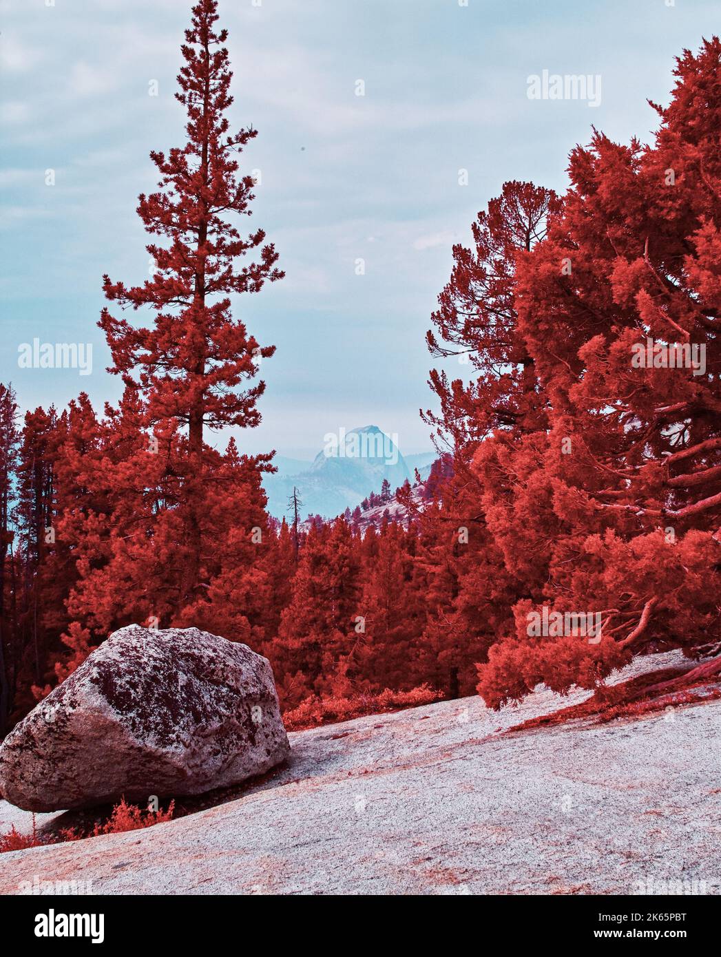 The Yosemite Valley with red tree leaves Stock Photo - Alamy