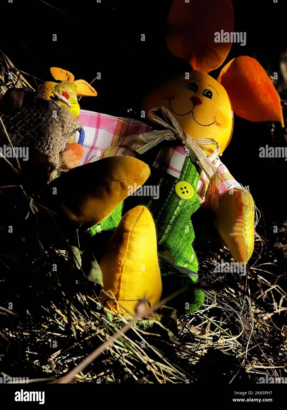 A yellow bunny stuff toy on the the dried grass Stock Photo - Alamy