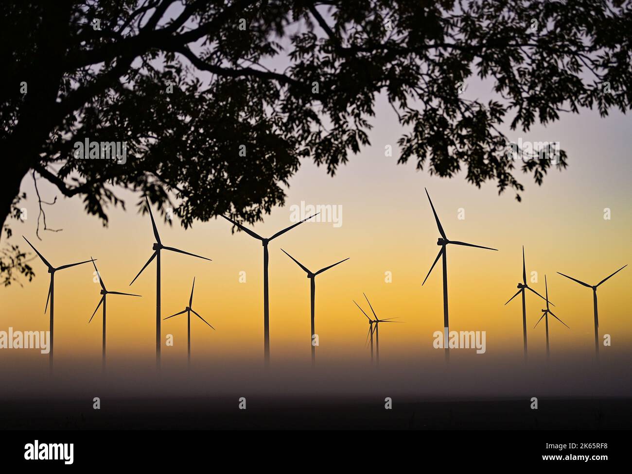 Jacobsdorf, Germany. 12th Oct, 2022. Wind turbines stand at sunrise in ...