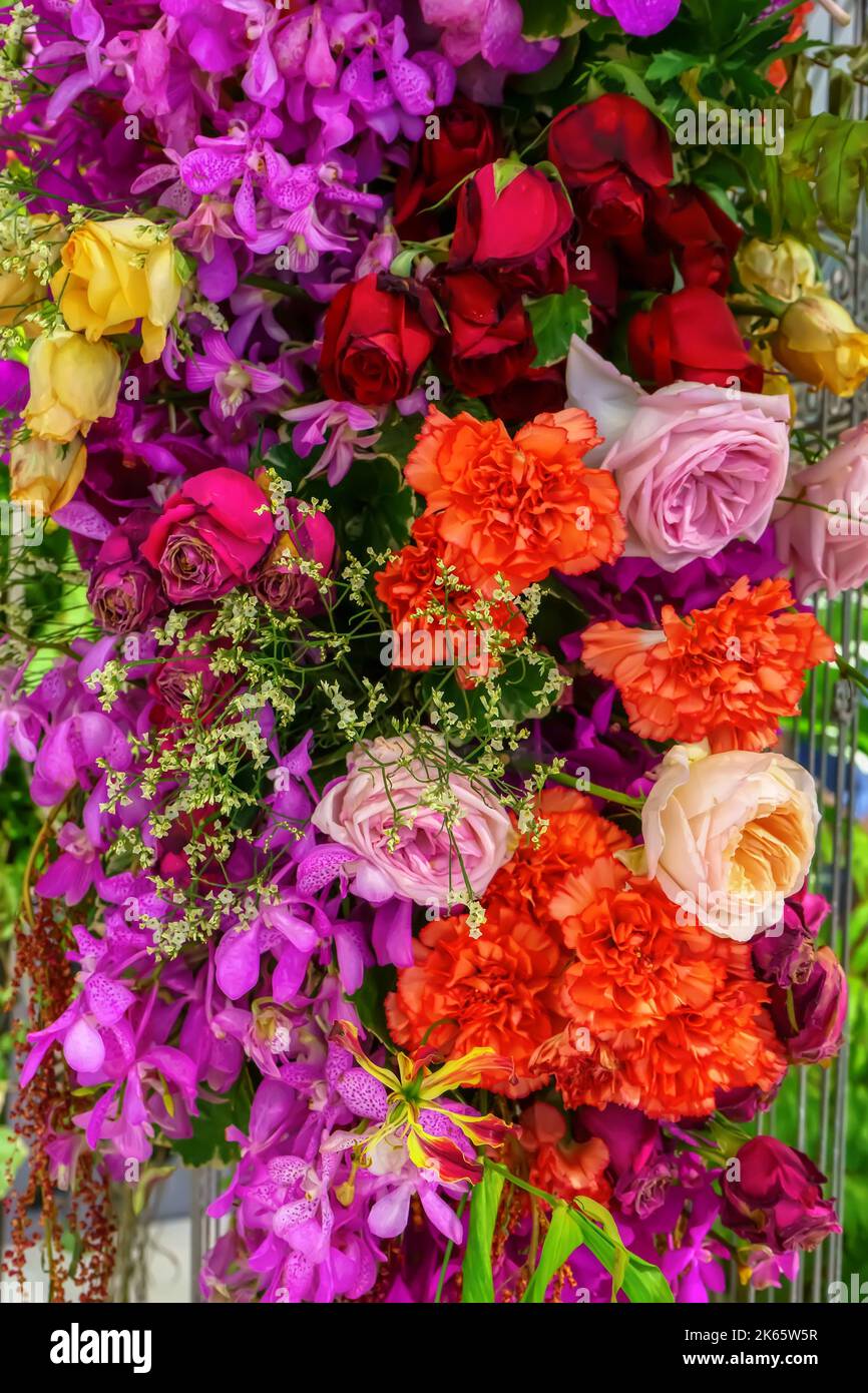 The flowers are beautiful and refreshing. Its beautiful Stock Photo - Alamy