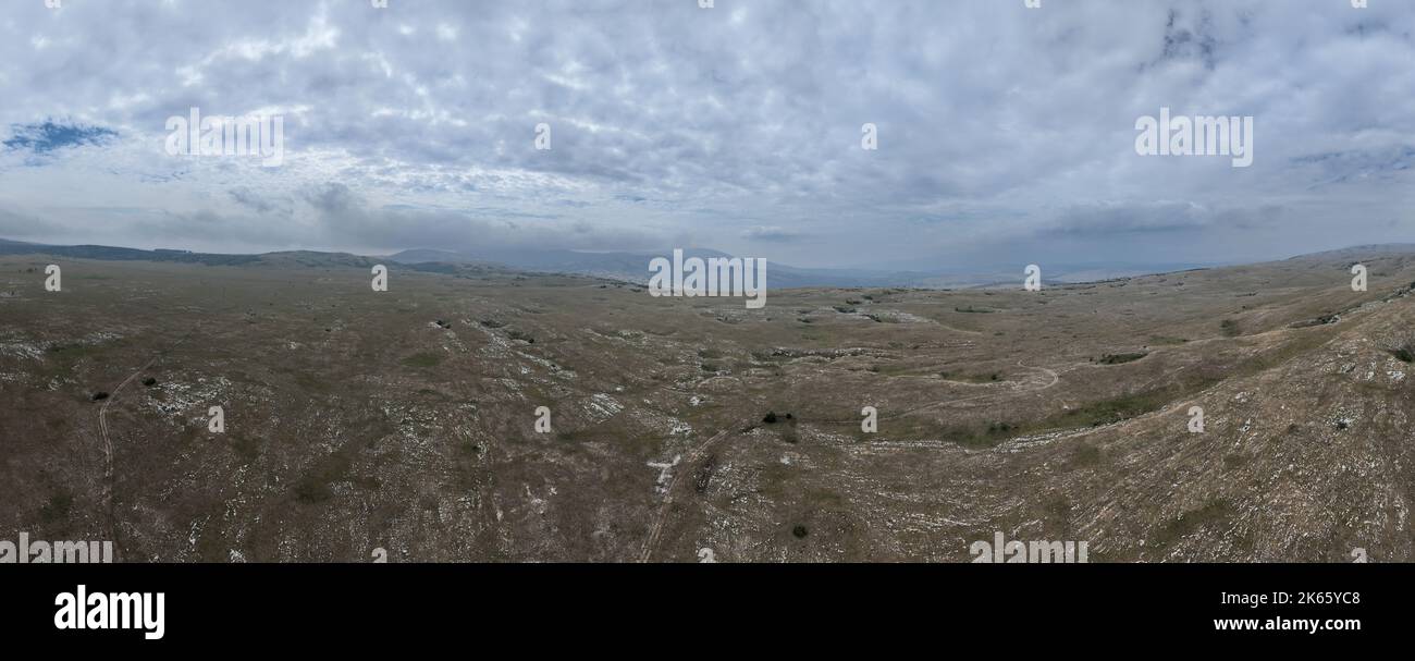 Aerial Cinematic slow motion shot of Drone Flying over a large herd of ...