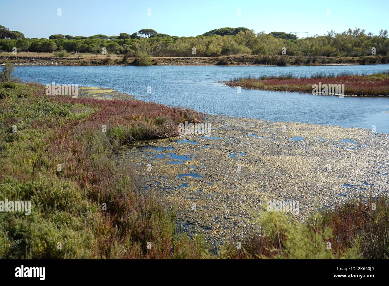 Strofylia national park hi-res stock photography and images - Alamy