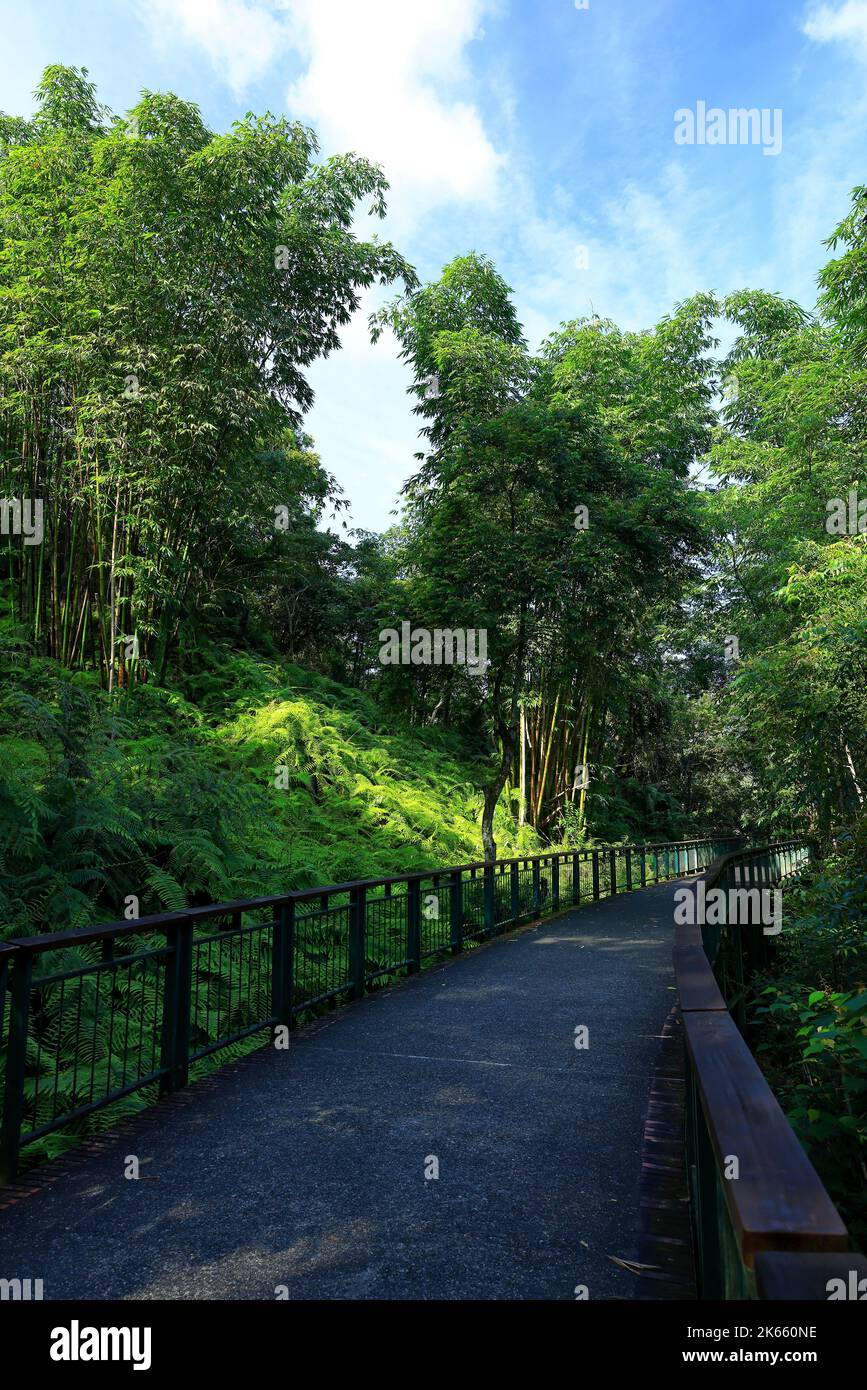 Sun Moon Lake National Scenic Area, Yuchi Township, Nantou County ...