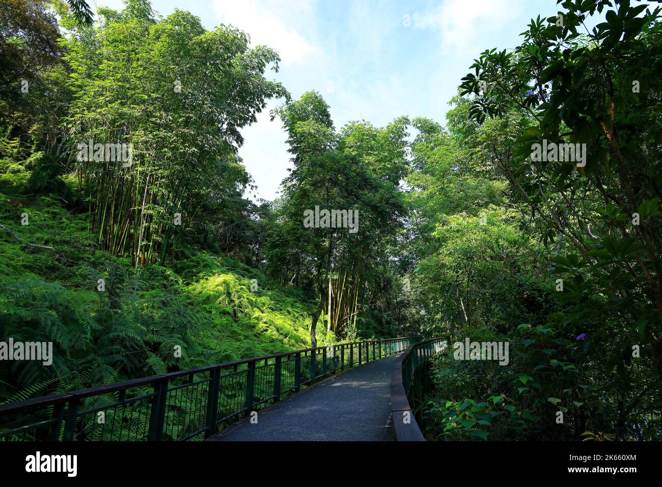 Sun Moon Lake National Scenic Area, Yuchi Township, Nantou County ...
