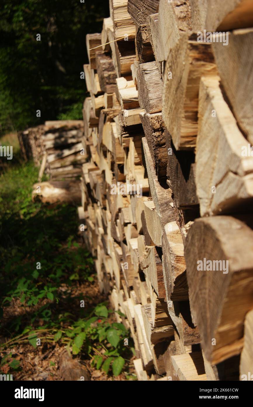 A vertical shot of cut wooden trunks Stock Photo - Alamy