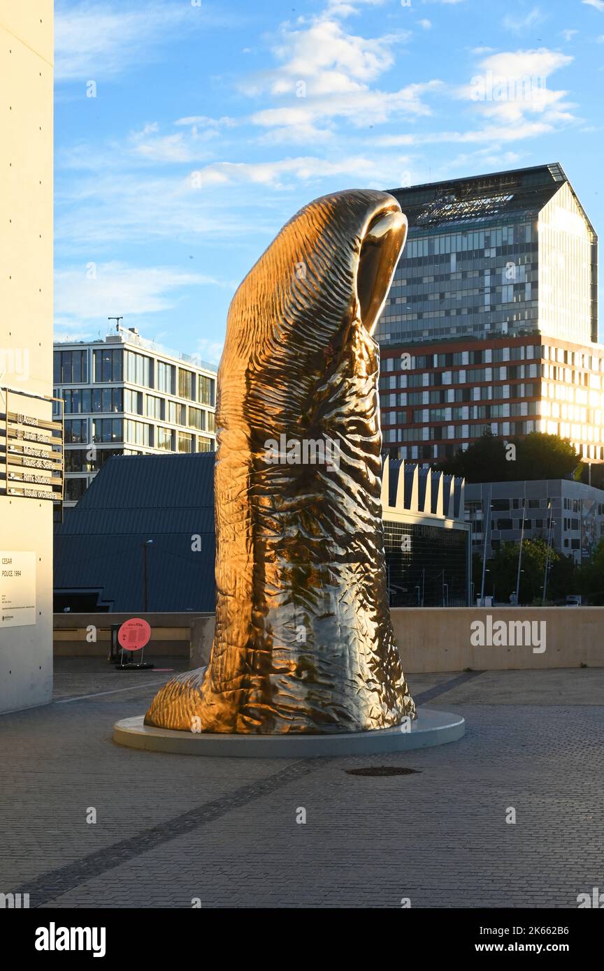 Auditorium musicale hi-res stock photography and images - Alamy