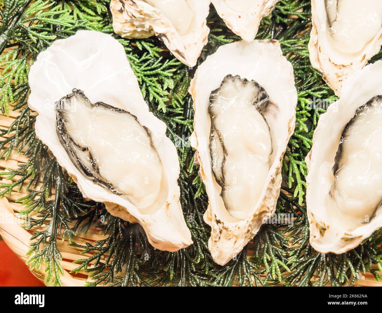Oysters in a fish market Stock Photo - Alamy