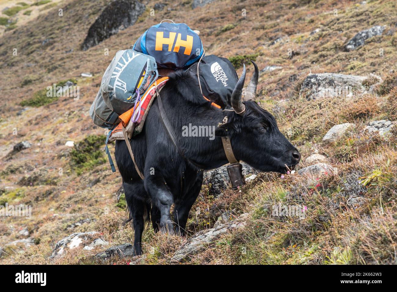 Everestway hi-res stock photography and images - Alamy