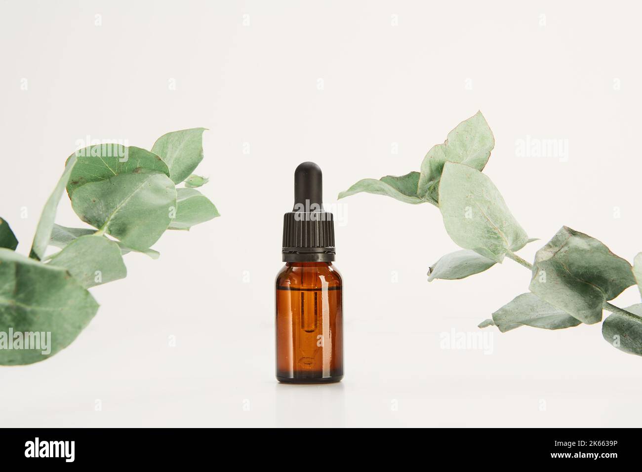 Glass dropper vial mockup decorated with plants on white Stock Photo ...