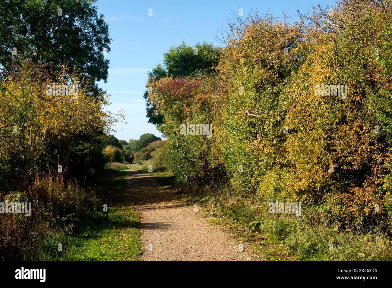 The Offchurch Greenway footpath/cycleway, Warwickshire, England, UK ...