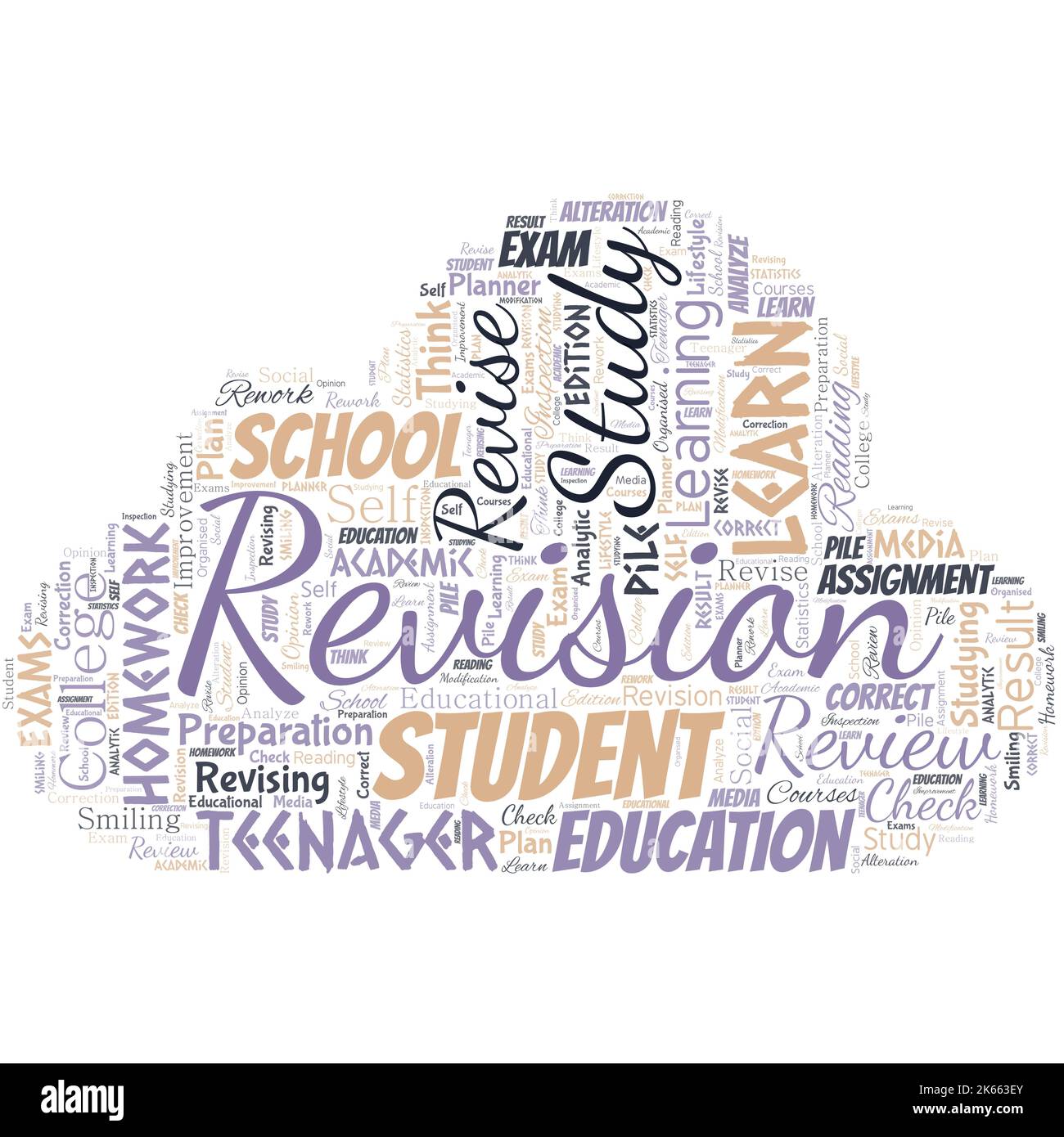 Big word cloud in the shape of cloud with word revision. Action of ...