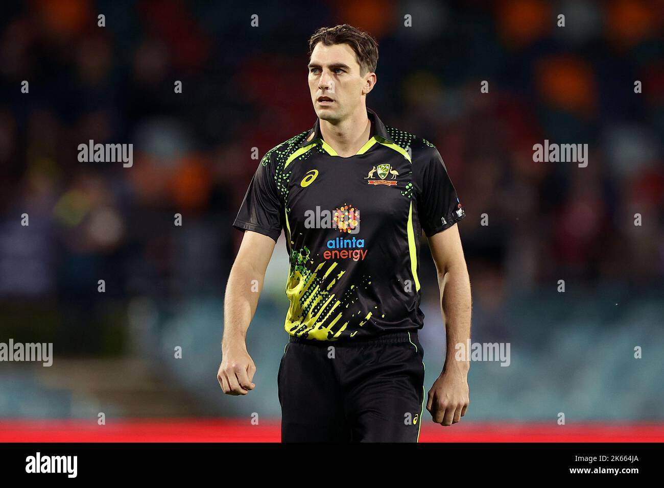 Patrick cummins australia hi-res stock photography and images - Alamy