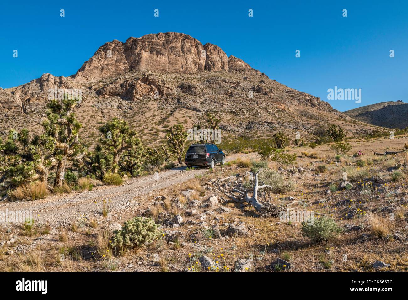 Bulldog Knolls, Bulldog Canyon, SUV on side track off Mojave Desert ...
