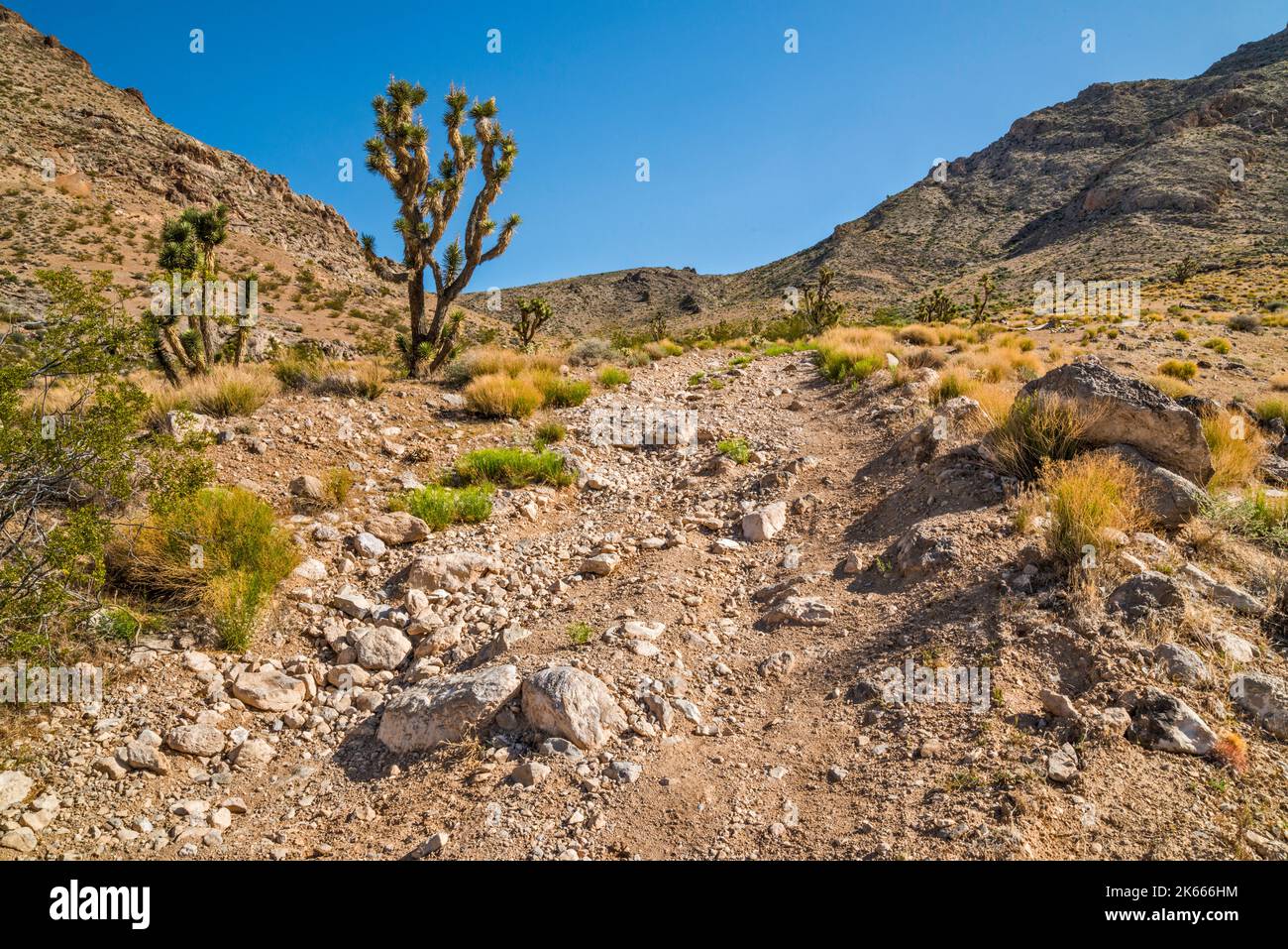 Bulldog knolls hi-res stock photography and images - Alamy