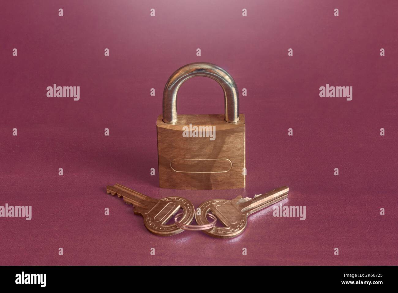 A gold camouflage patterned padlock standing in front of two gold keys ...