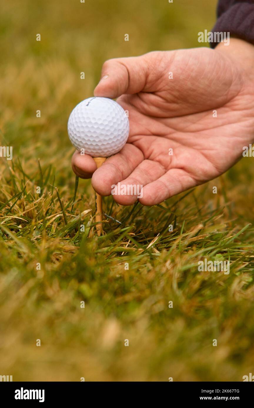 Hand catching a golf ball Stock Photo - Alamy