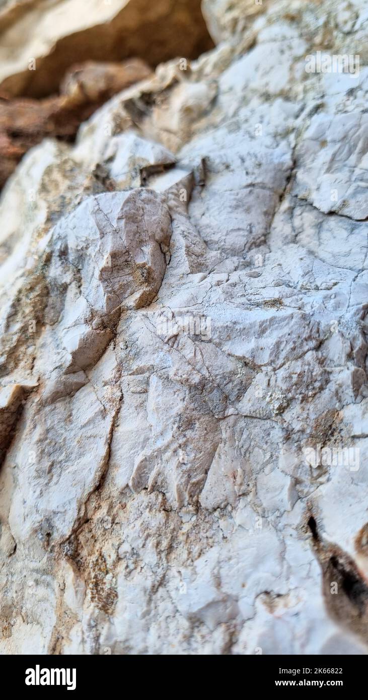 A vertical shot of rough stone surface texture in a blurred background ...