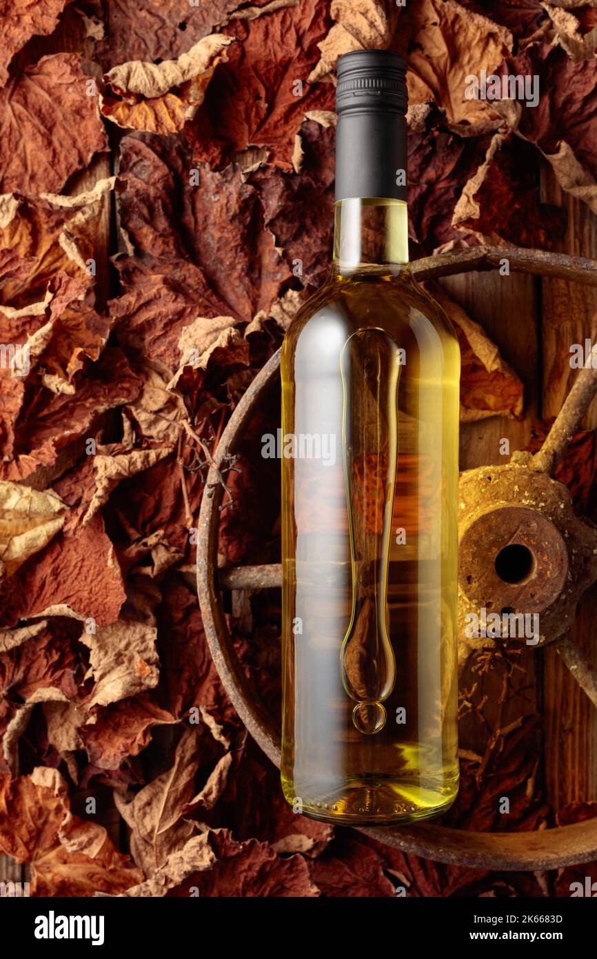 Bottle of white wine on the rusty wheel and dried-up vine leaves. Old ...