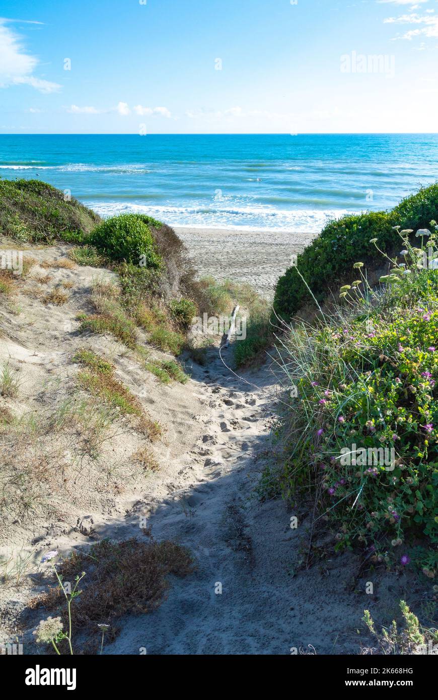 Rome, Lazio, Italy, 8th of June 2018: Capocotta area that is a part of ...