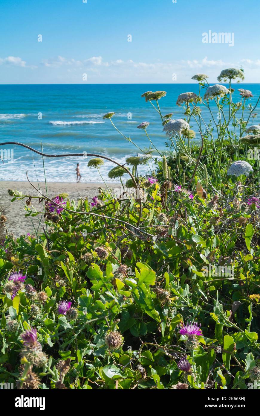 Rome, Lazio, Italy, 8th of June 2018: Capocotta area that is a part of ...