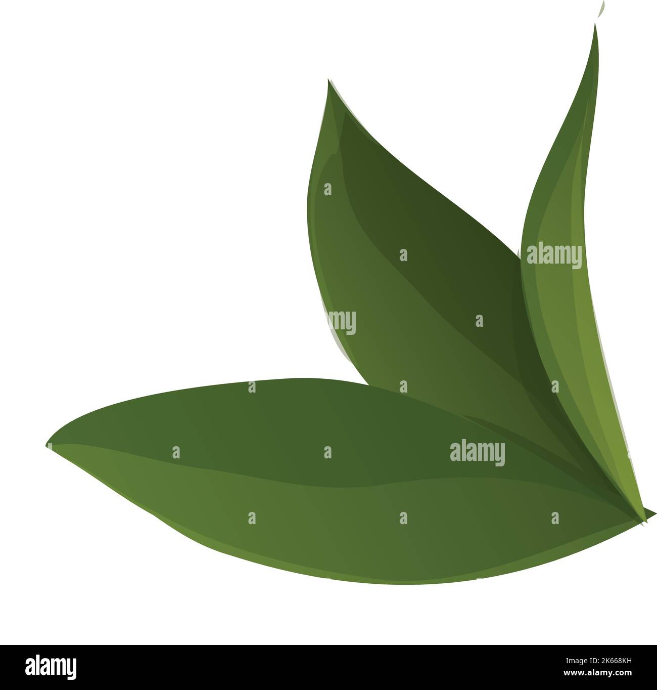 Japan leaf matcha tea icon cartoon vector. Green powder. Herb drink ...