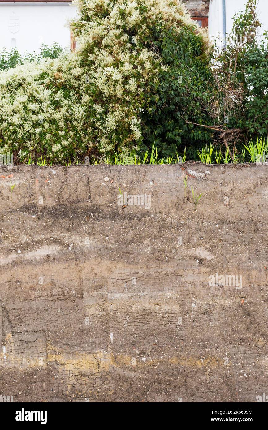 Soil profile hi-res stock photography and images - Alamy