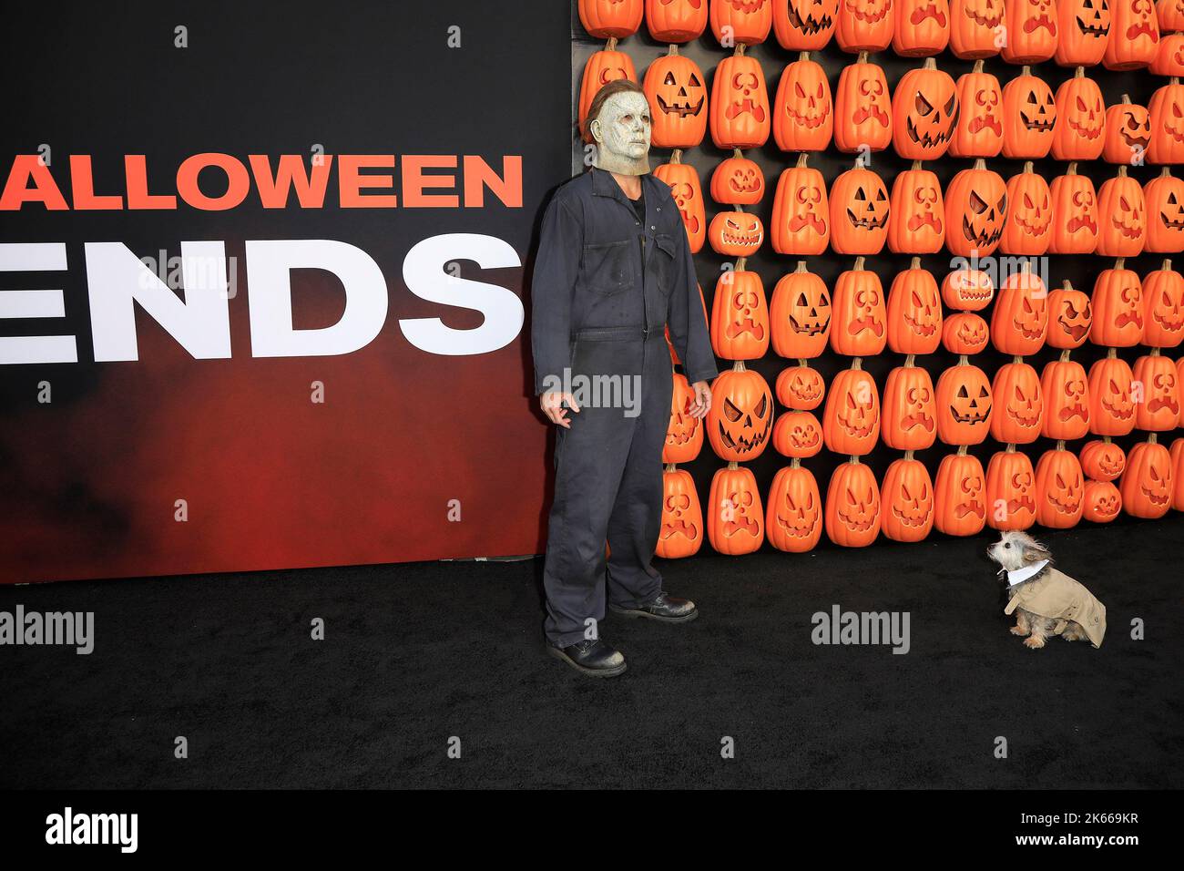 October 11, 2022, Los Angeles, California, USA: LOS ANGELES - OCT 11 ...