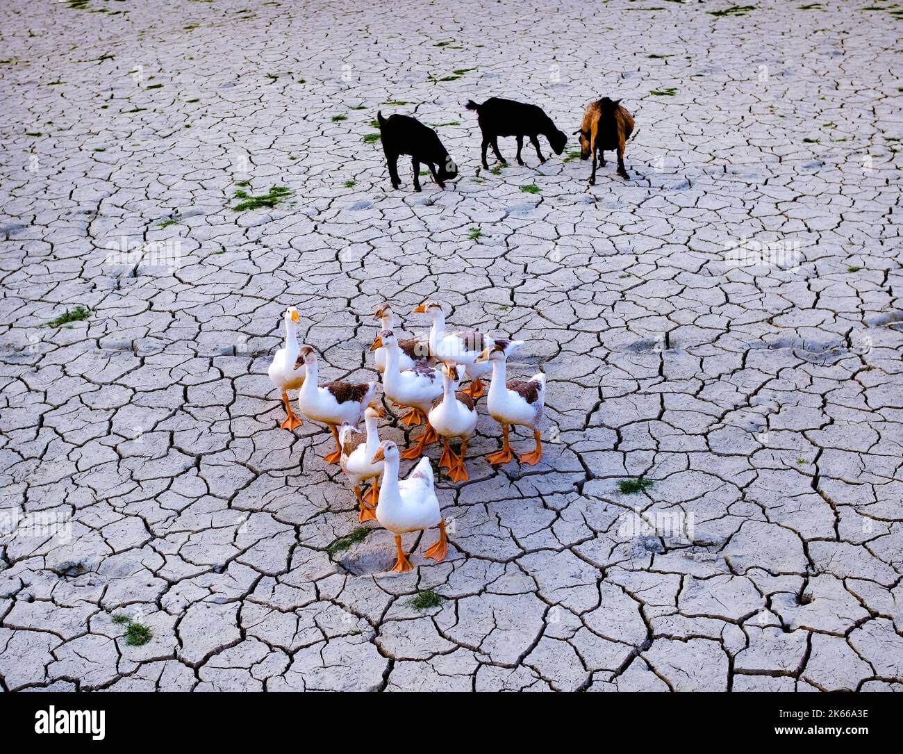 Drought photos hi-res stock photography and images - Alamy