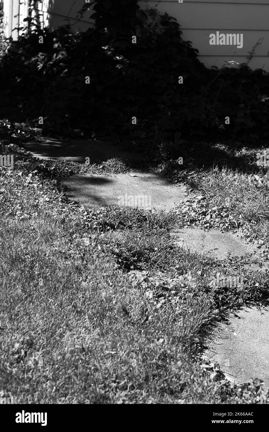 Vintage stone path winding thru the field in a black and white ...