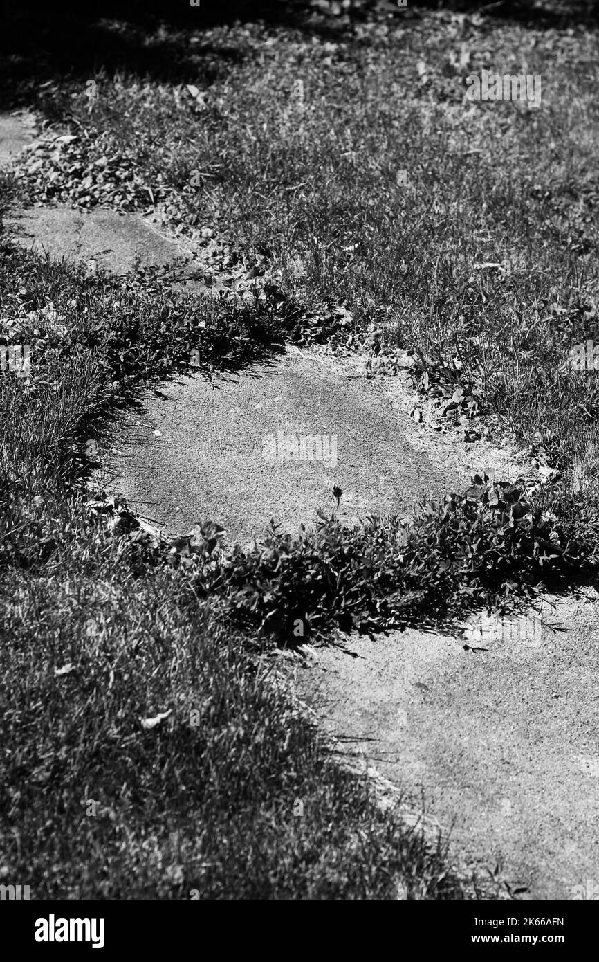 Vintage stone path winding thru the field in a black and white ...