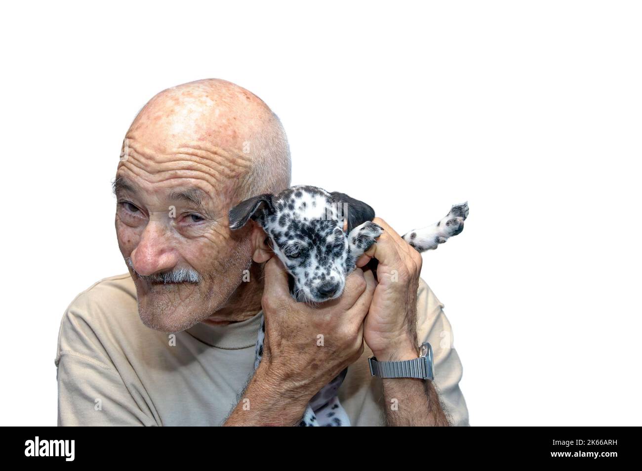 Man with his dalmatian dog hi-res stock photography and images - Alamy