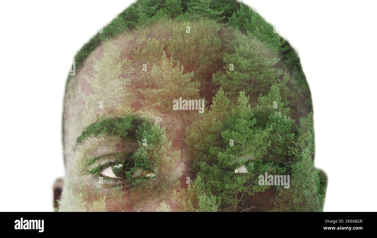 nature harmony eco mindfulness eyes green forest Stock Photo - Alamy