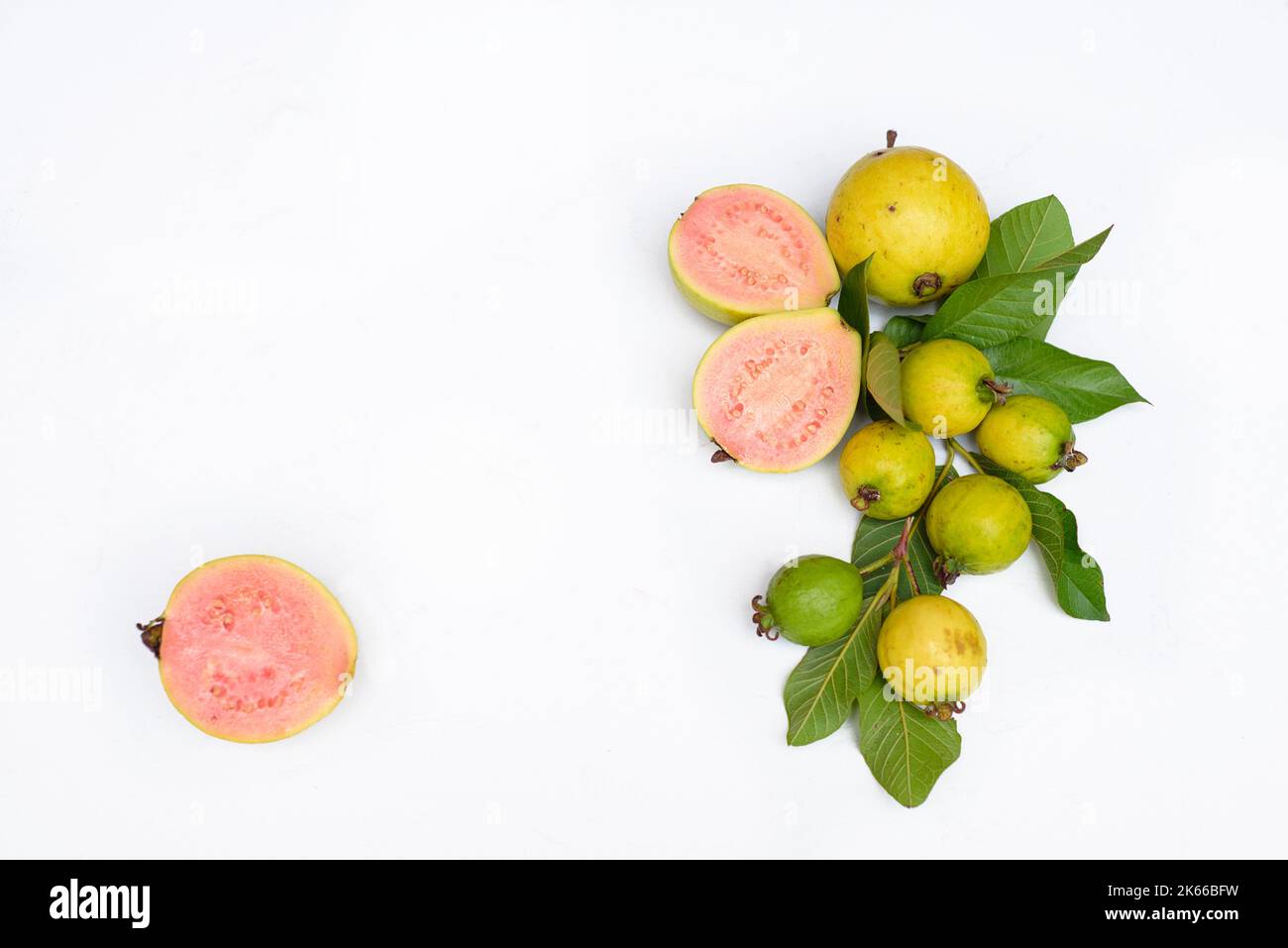 Ripe guava fruit with leaves on white background with copy space Stock ...