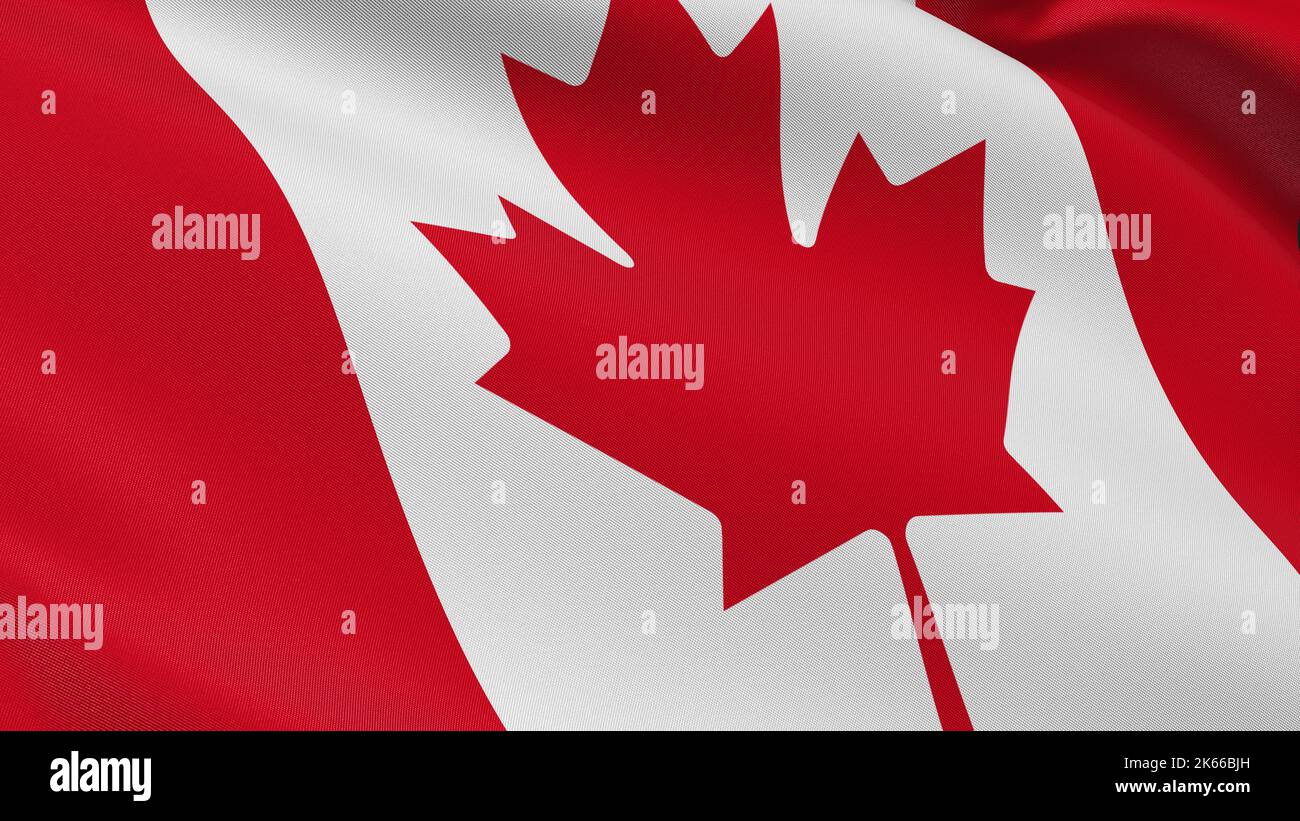 canada flag maple leaf canadian national symbol Stock Photo - Alamy