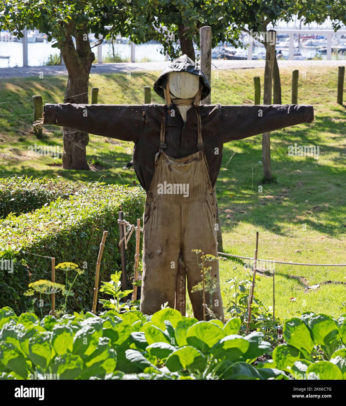 Scary scarecrow near some plants, the Netherlands Stock Photo - Alamy