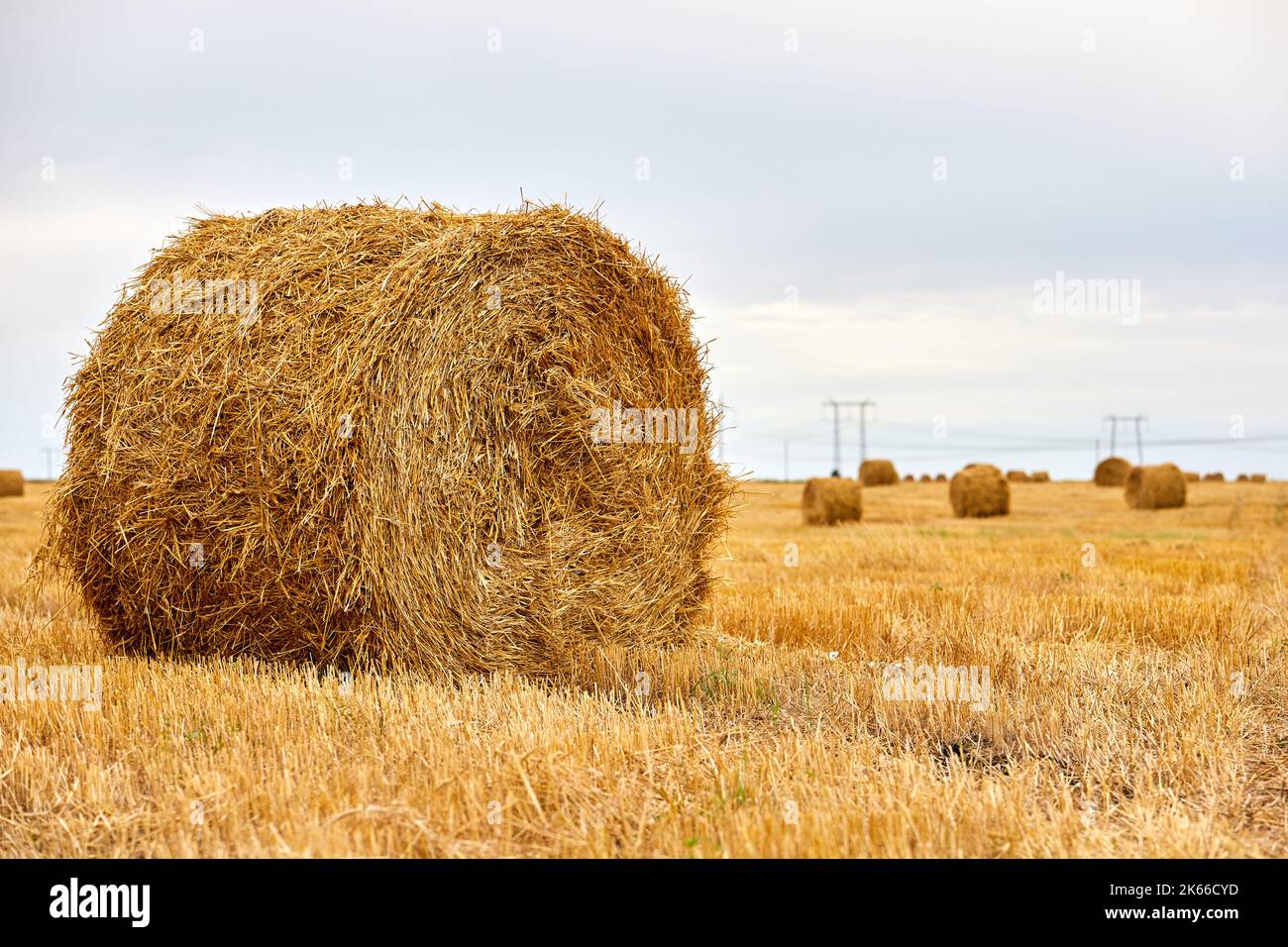 Rolls of haystacks hi-res stock photography and images - Alamy