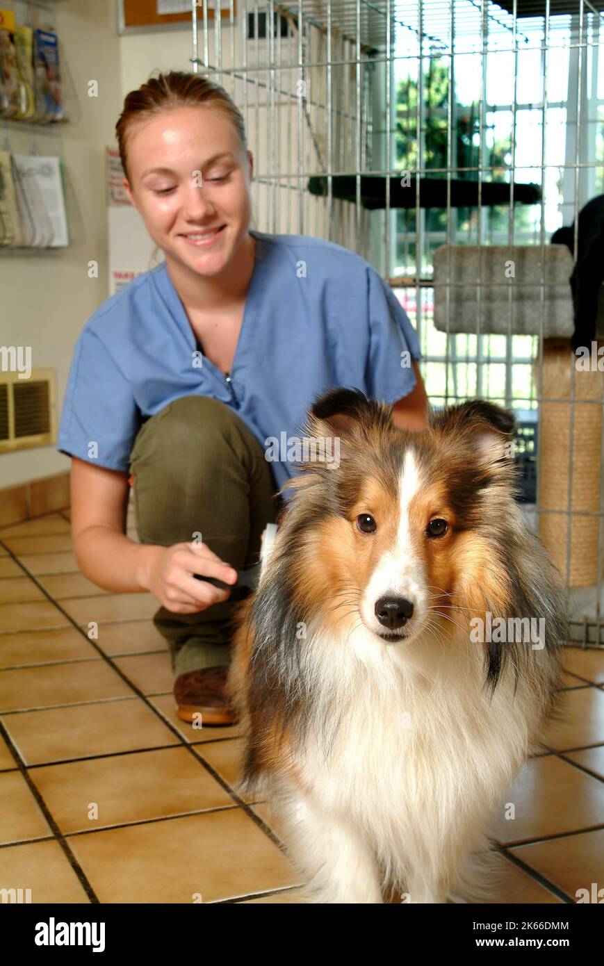 Animal care standards hi-res stock photography and images - Alamy