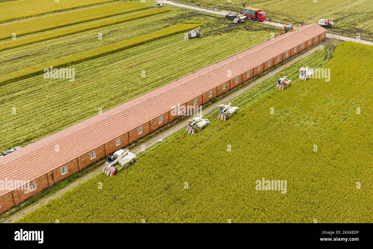 HAI'AN, CHINA - OCTOBER 12, 2022 - Aerial photo taken on Oct 12, 2022 ...