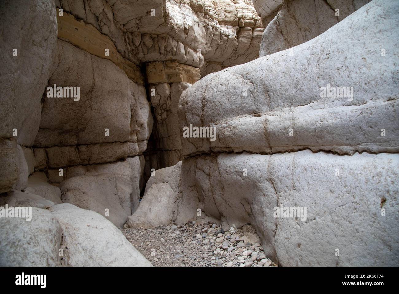 Abstract nature texture hi-res stock photography and images - Alamy