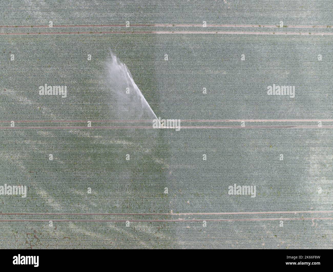 Agriculture watering of fields crops sprinkler water installation ...