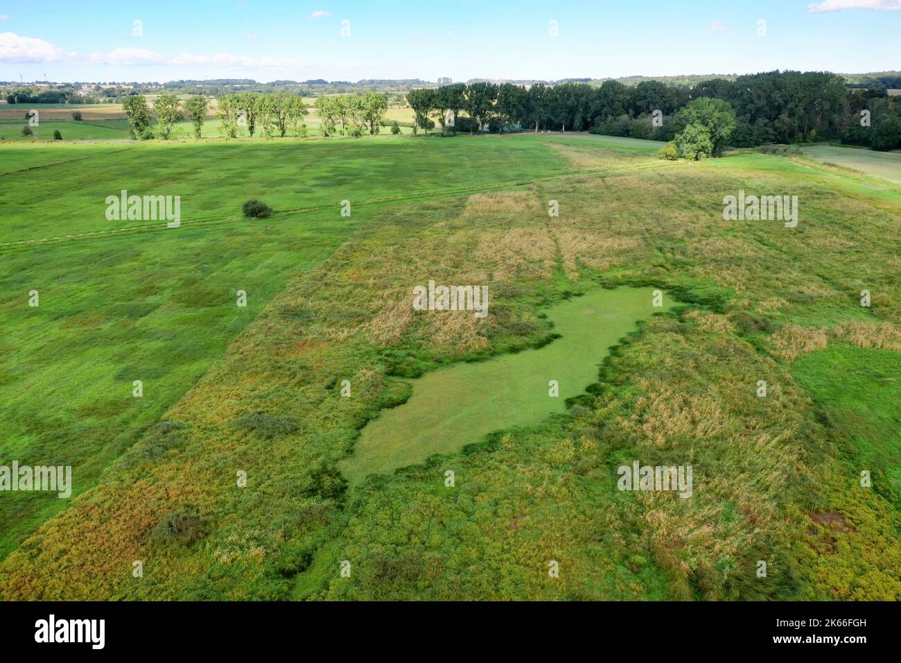 Duvenseer bog after a dry summer in early autumn 2022, Germany ...